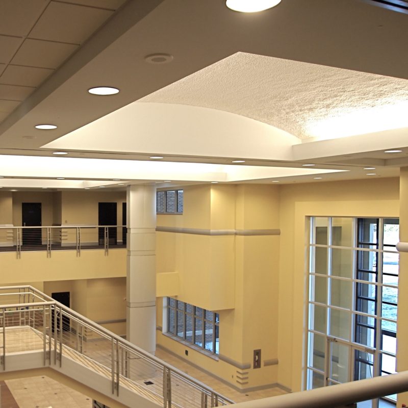 Vaulted Ceiling Design Business